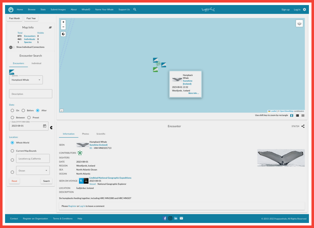 Happy Whale: Send us your whale photos, we’ll identify them for fun and ...